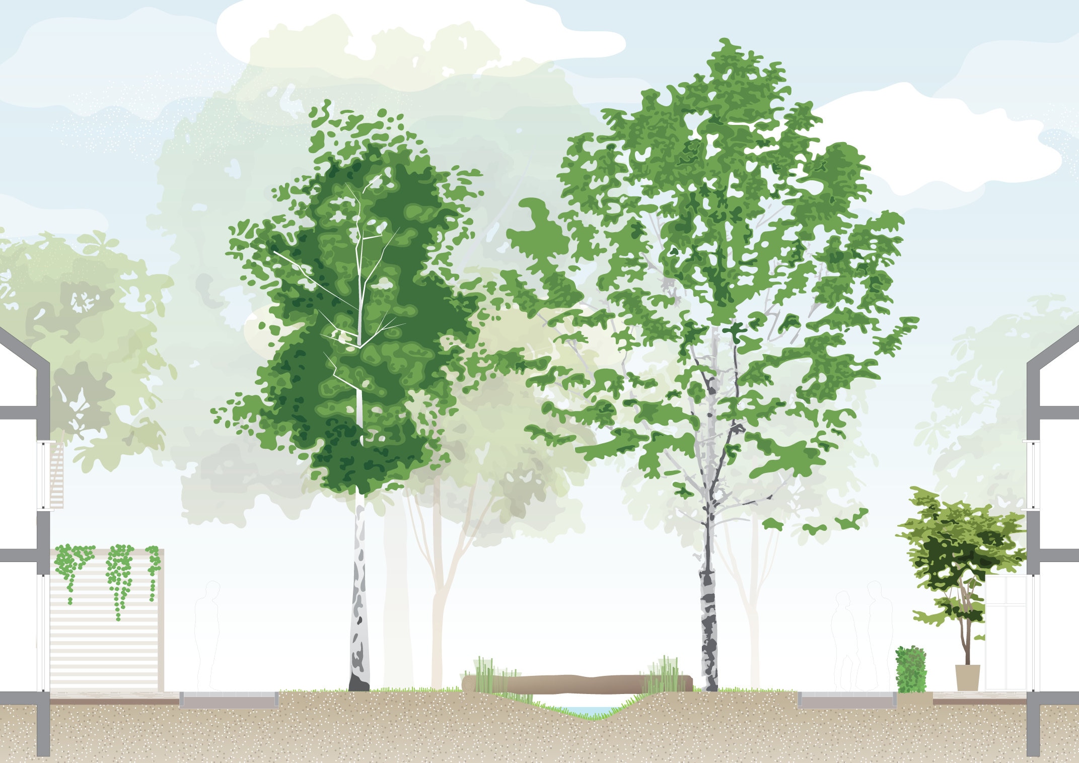 Maple Tree, Birch Tree Vector Trees Clipart Bundle | Vector Tree ...