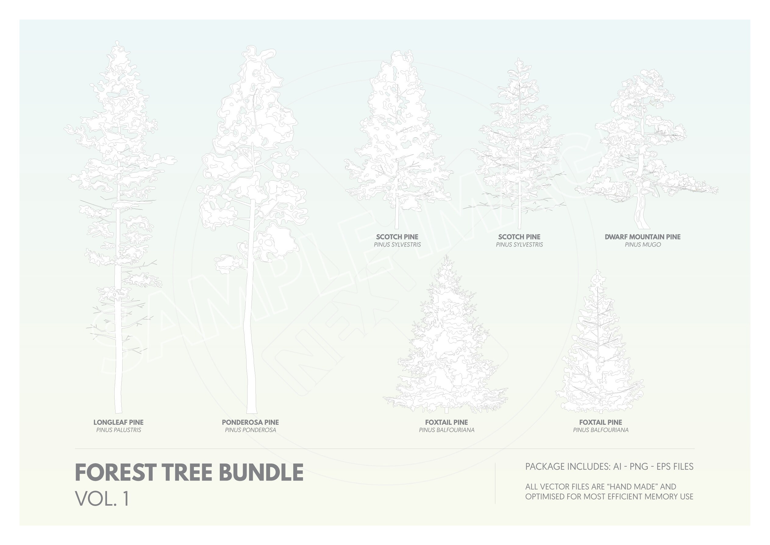 Flat Forest Tree Vector Clipart Collection | Cutout Vegetation | 6 ...