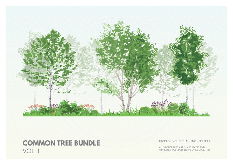 Maple Tree, Birch Tree Vector Trees Clipart Bundle | Vector Tree ...