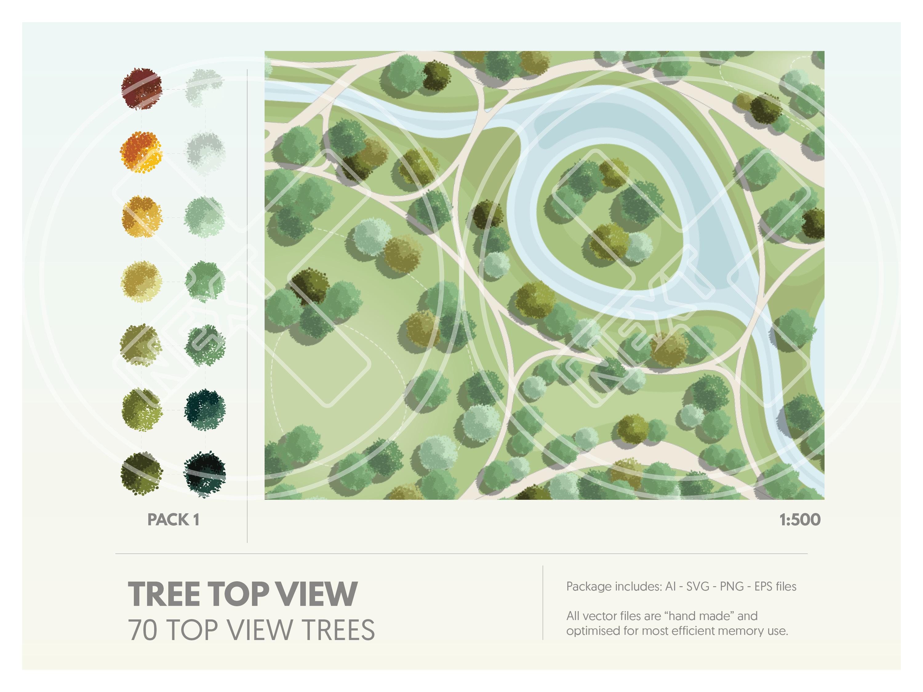 Tree Top View | Tree Vector | 70 Top View Trees | Instant Download Tree ...