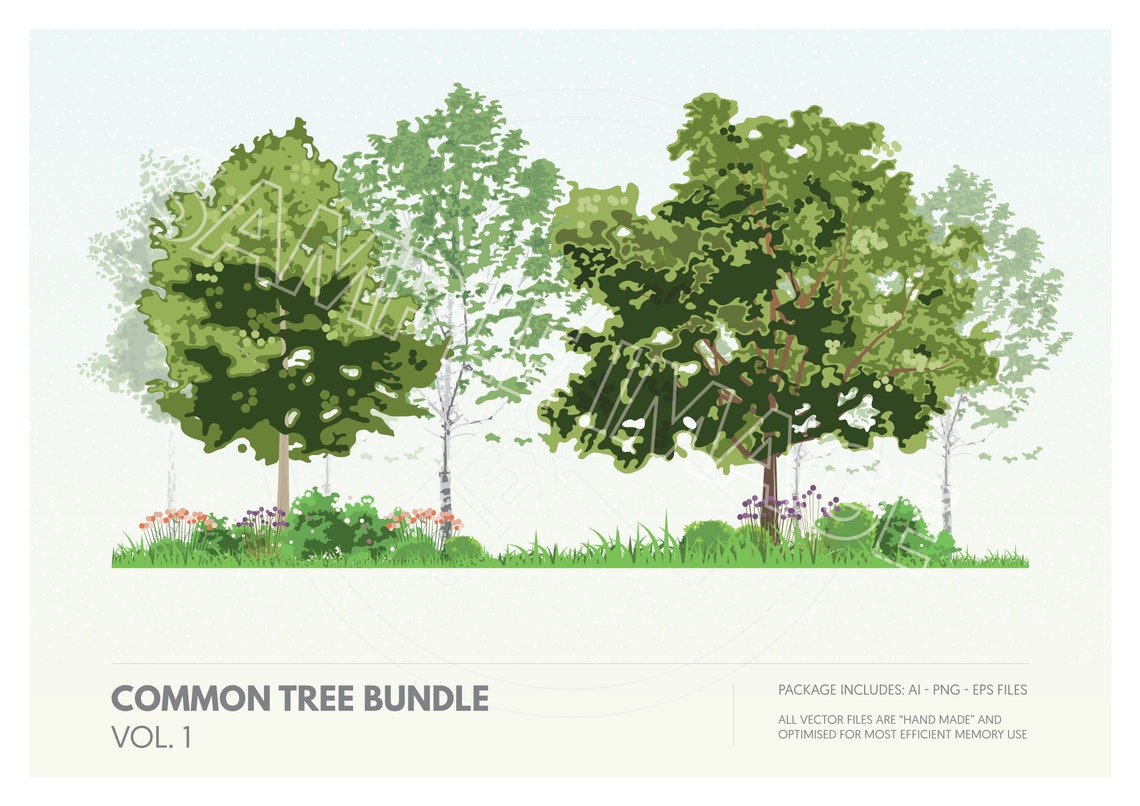 Maple Tree, Birch Tree Vector Trees Clipart Bundle Vector Tree Clipart ...
