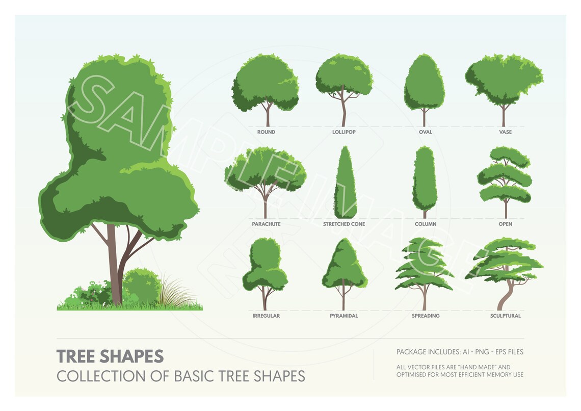 Tree Png | Tree Clipart Collection | Basic Tree Shapes | 12 Simple Tree ...