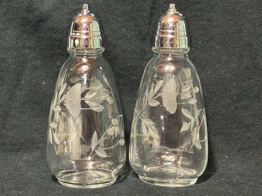 Princess House Salt & Pepper Shakers Set, Crystal Glass Heritage Etched ...