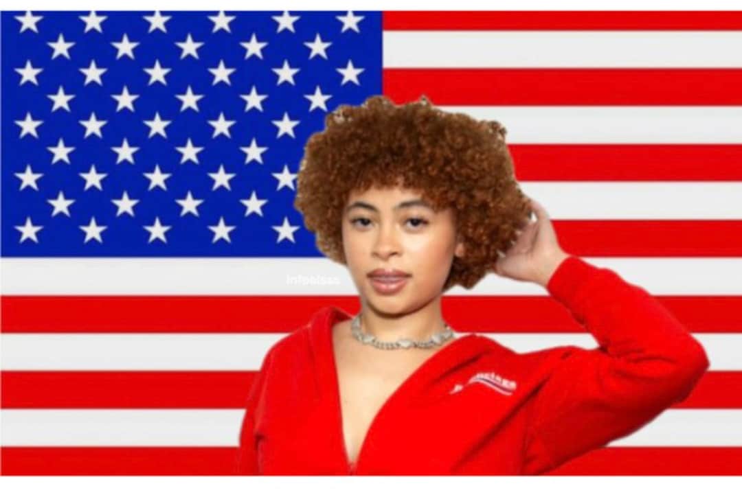 Ice Spice American Flag Tapestry Ice Spice American Flag Pink - Etsy