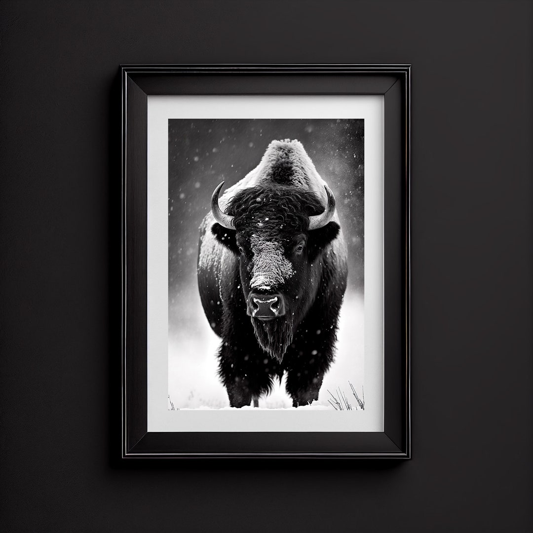 Buffalo in Snow Wall Art Print, Black and White, Buffalo Poster, Modern ...