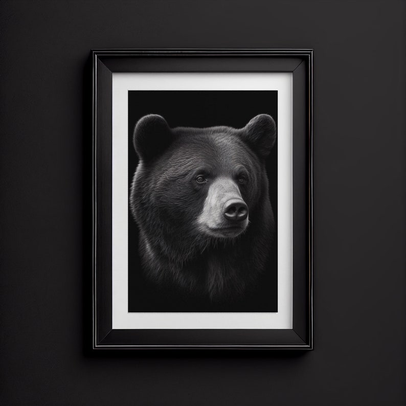Black Bear Wall Art Print, Black and White, Black Bear Poster, Bear ...