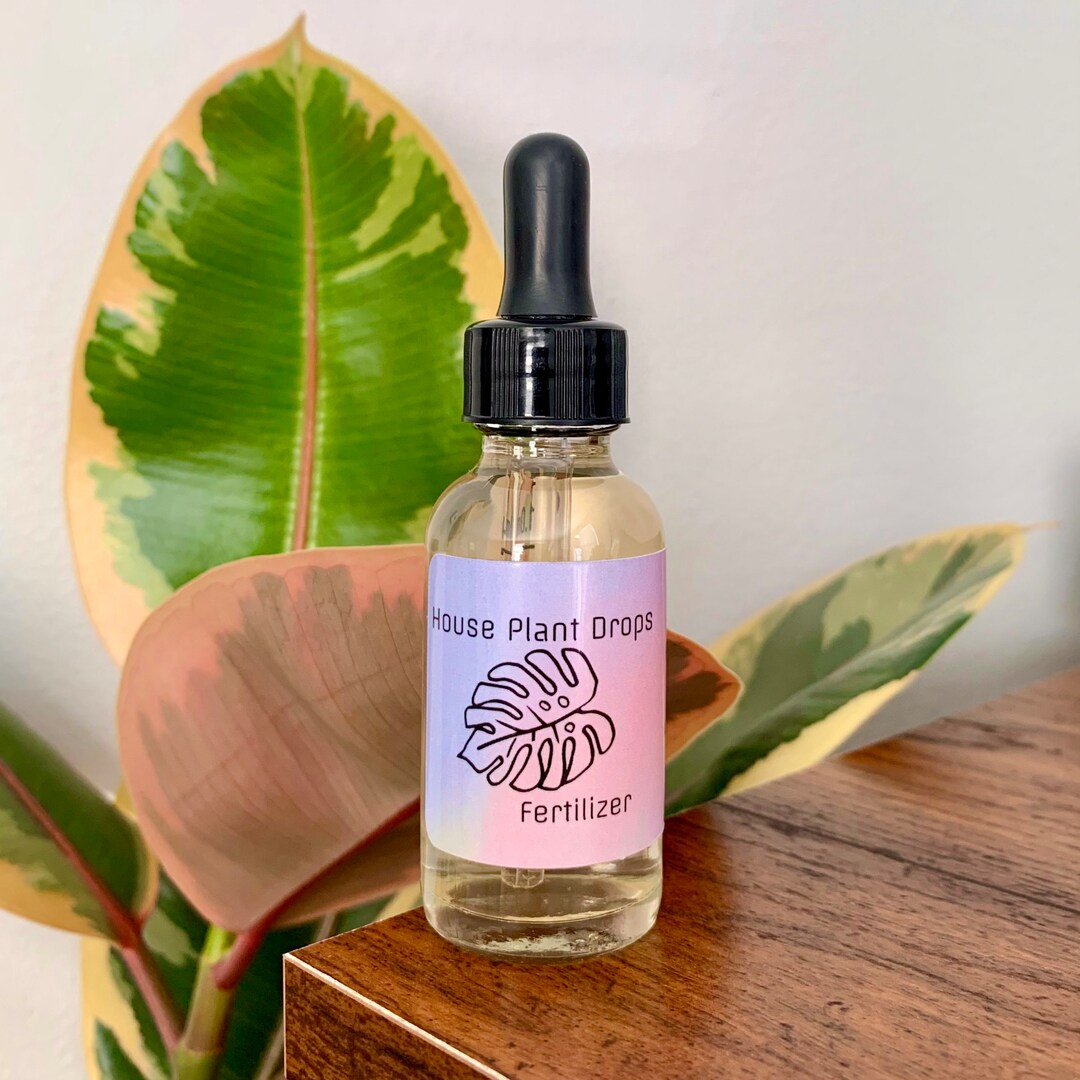 House Plant Fertilizer (12 Pack) - Etsy