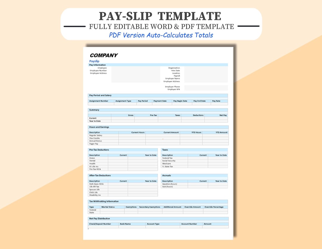 Editable Pay Stub Template: Auto-calculating Pdf/word - Etsy