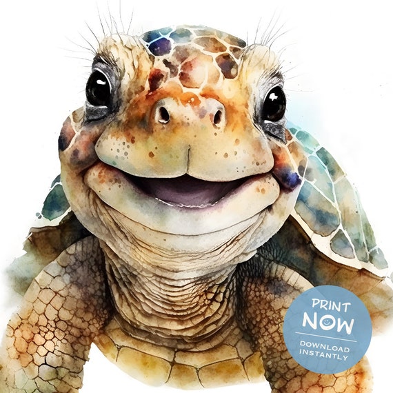 Happy Baby Turtle