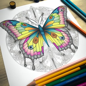 Adult Colouring Book Mandala Butterflies 50 Digital Coloring Pages ...