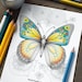 Adult Colouring Book Mandala Butterflies 50 Digital Coloring Pages ...