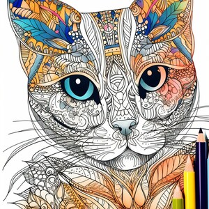 Adult Colouring Book Mandala Cats 50 Digital Coloring Pages (printable ...