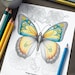 Adult Colouring Book Mandala Butterflies 50 Digital Coloring Pages ...