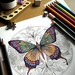 Adult Colouring Book Mandala Butterflies 50 Digital Coloring Pages ...