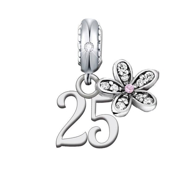 25th Birthday - Etsy