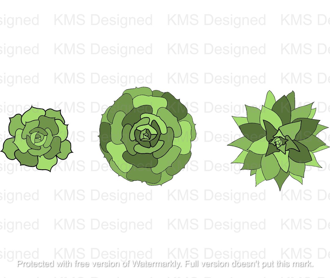 Flower SVG, Spring, Succulent SVG, Succulent, Layered SVG, Modern ...