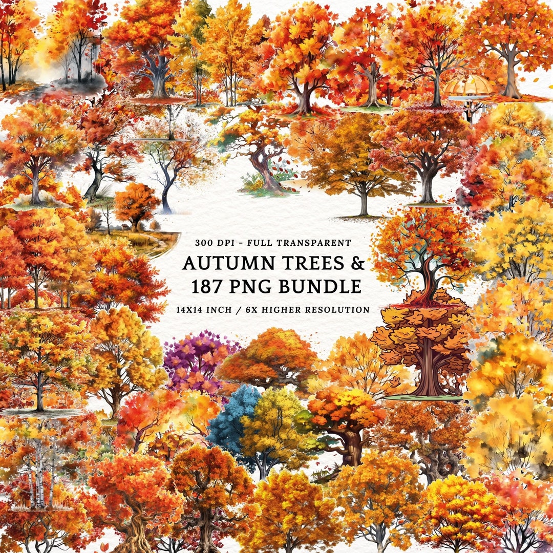 Autumn Trees Watercolor Clipart Bundle 187 PNG Fall Tree Images ...