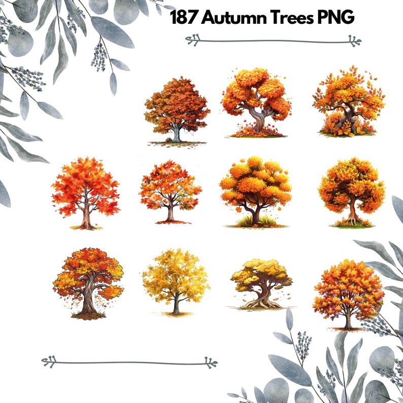 Autumn Trees Watercolor Clipart Bundle 187 PNG Fall Tree Images ...
