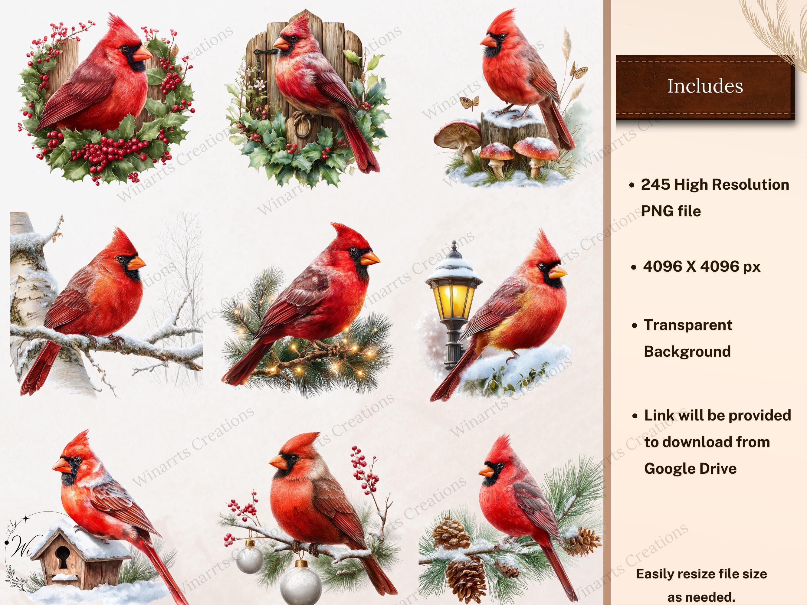 245 Watercolor Cardinal Clipart Bundle All Seasons Cardinal Christmas ...