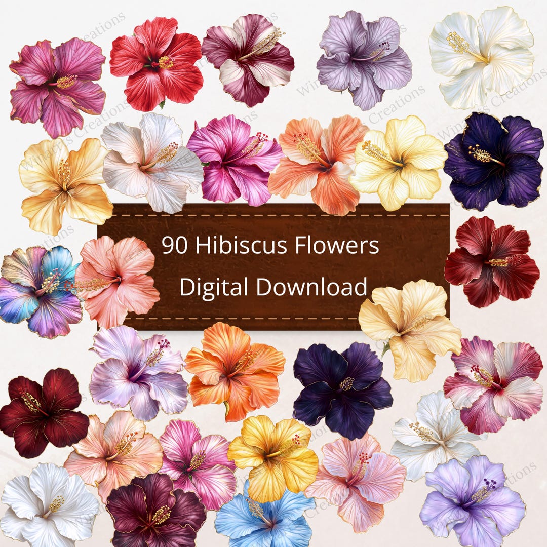 90 Hibiscus Flowers Clipart Bundle Digital Download PNG Printable High ...