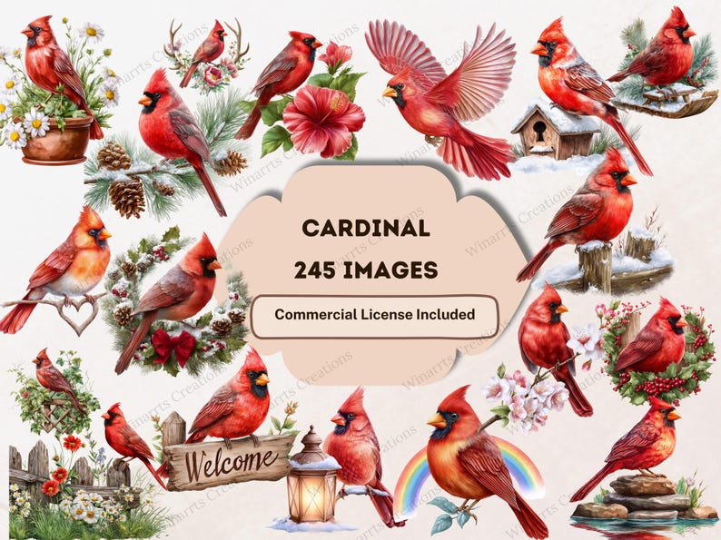 245 Watercolor Cardinal Clipart Bundle All Seasons Cardinal Christmas ...