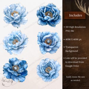 110 Peony Clipart Bundle Peonies Flowers Clipart Digital Download PNG ...