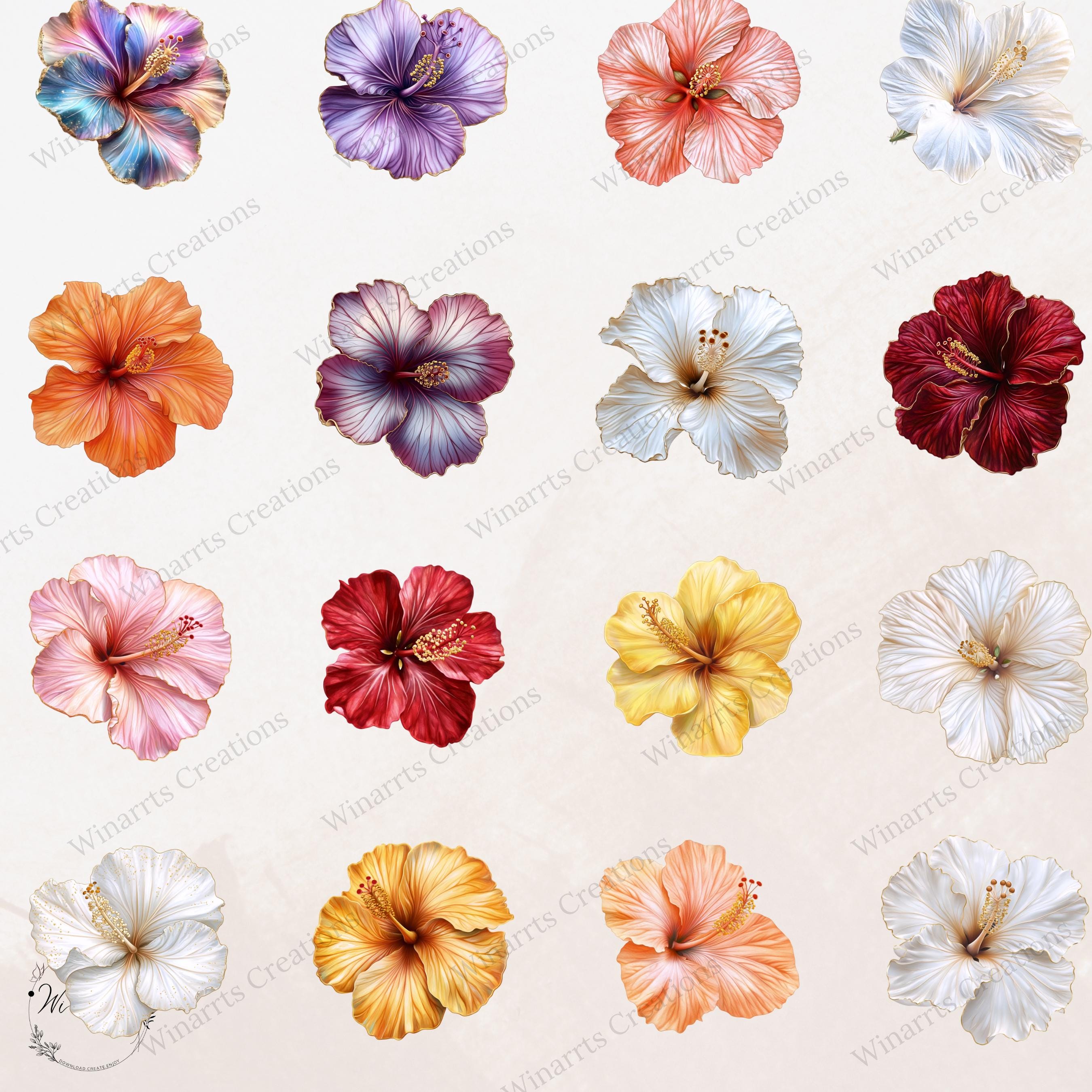 90 Hibiscus Flowers Clipart Bundle Digital Download PNG Printable High ...