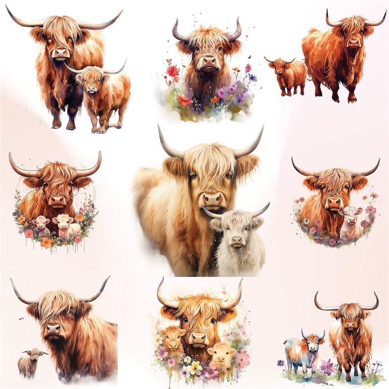 Highland Cow Png Watercolor Clipart Highland Cow Baby Baby - Etsy