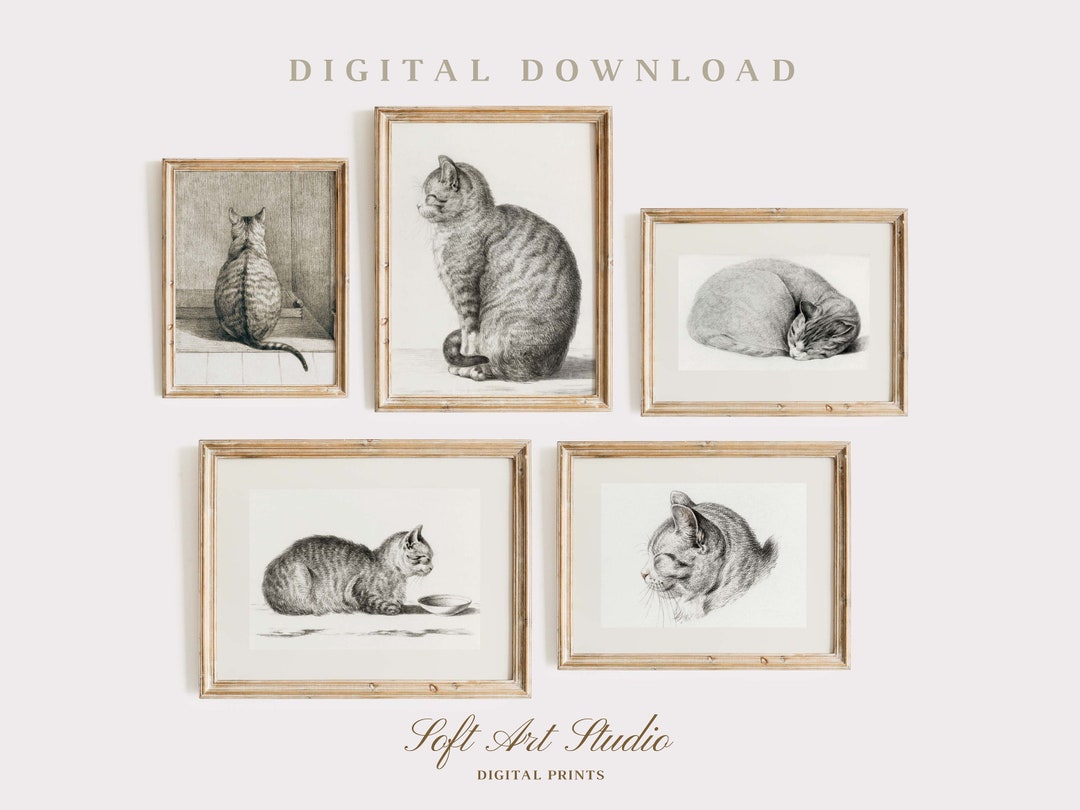 Cat Art Gallery Set of 5 Vintage Prints Vintage Cat Sketches Cat ...