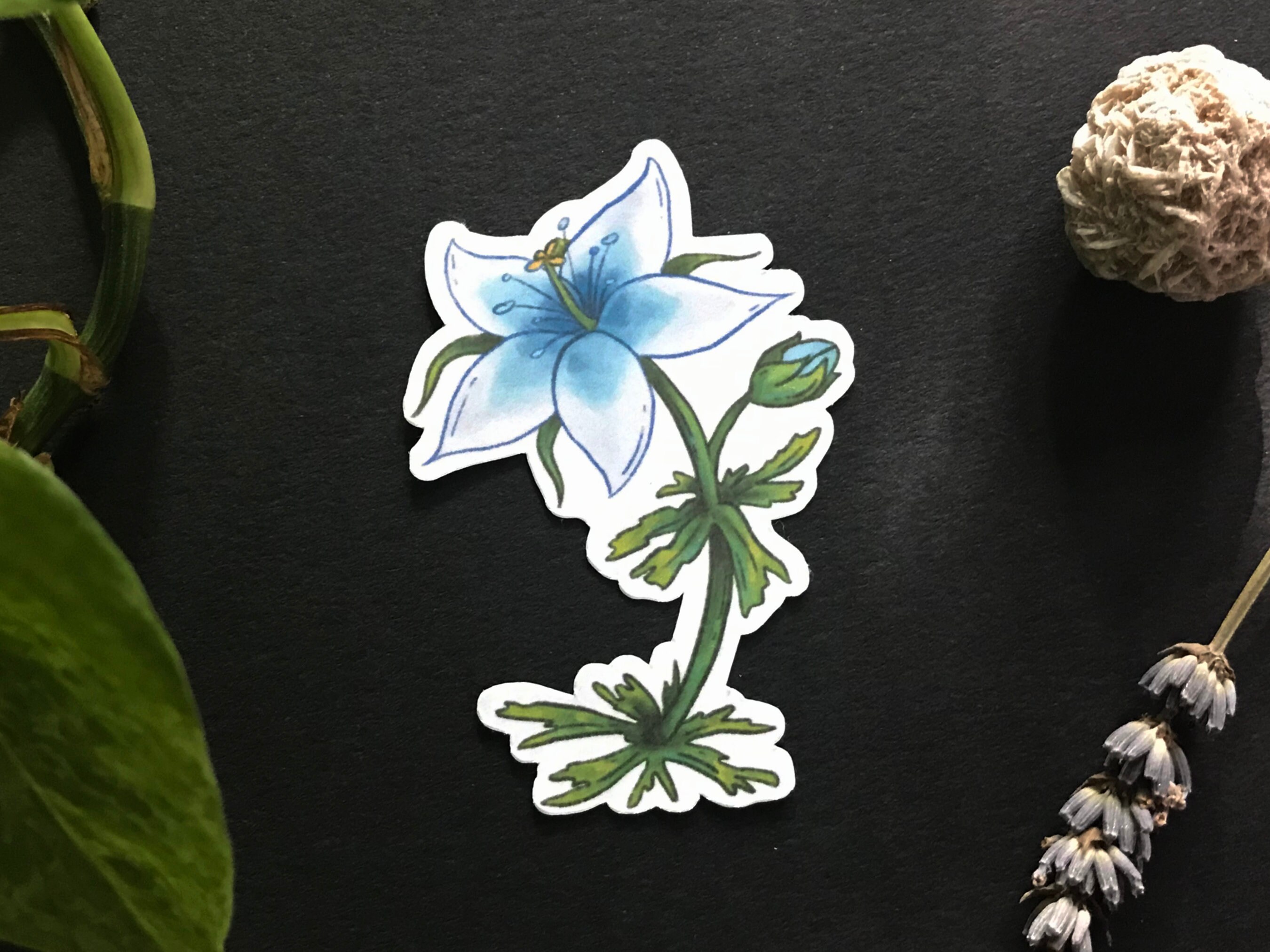 Silent Princess Sticker Zelda Totk - Etsy