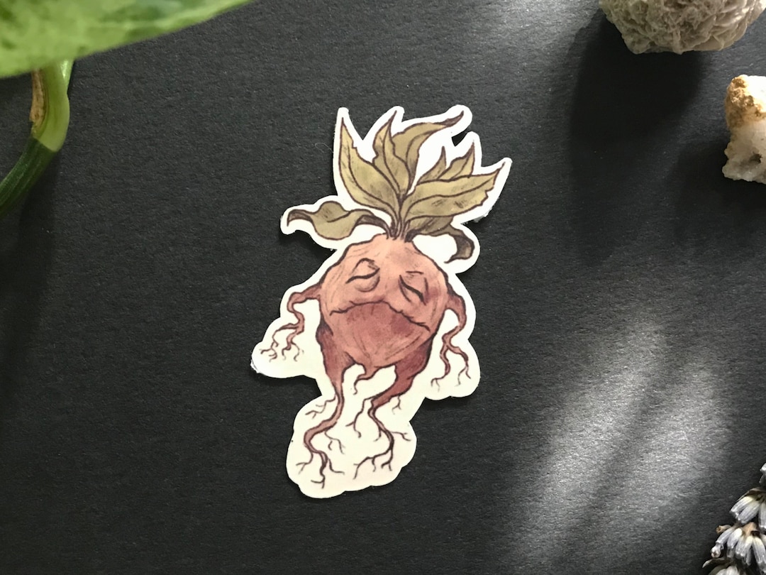 Mandrake Vinyl Sticker - Etsy