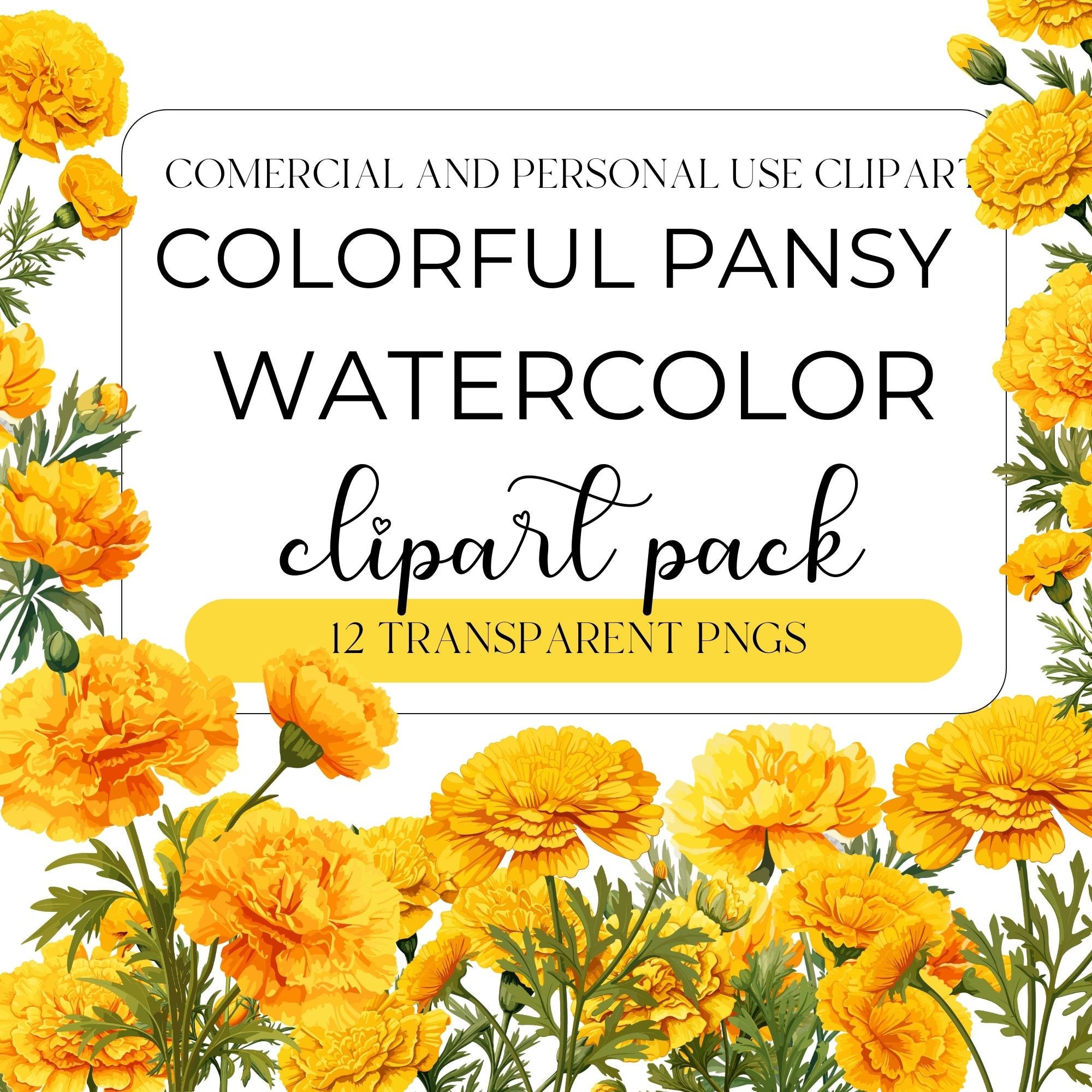 Watercolor Marigold Clipart, Fall Floral Calendula Flowers, Transparent ...