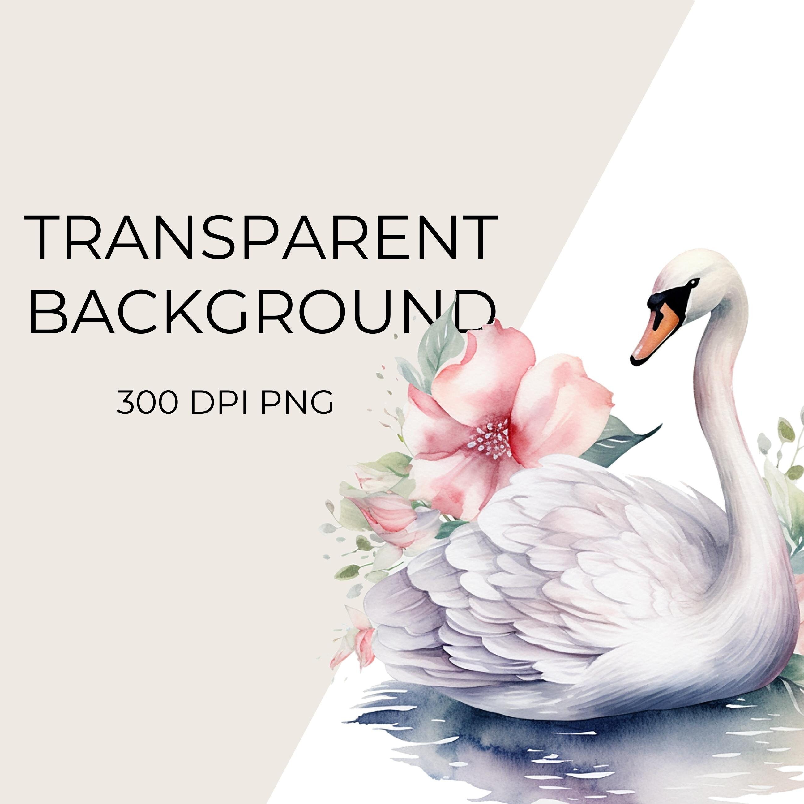 Watercolor Swan Clipart, Sweet Baby Swan Clipart, Bird Clipart ...