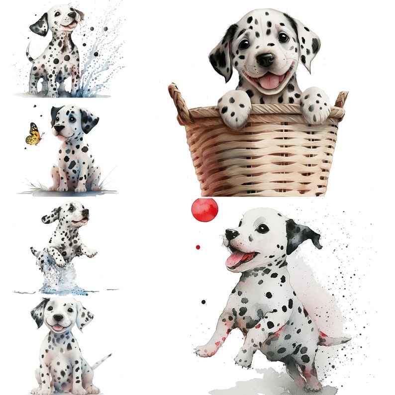 Dalmatian Clipart Watercolor Dog PNG Cute Dog Clipart - Etsy