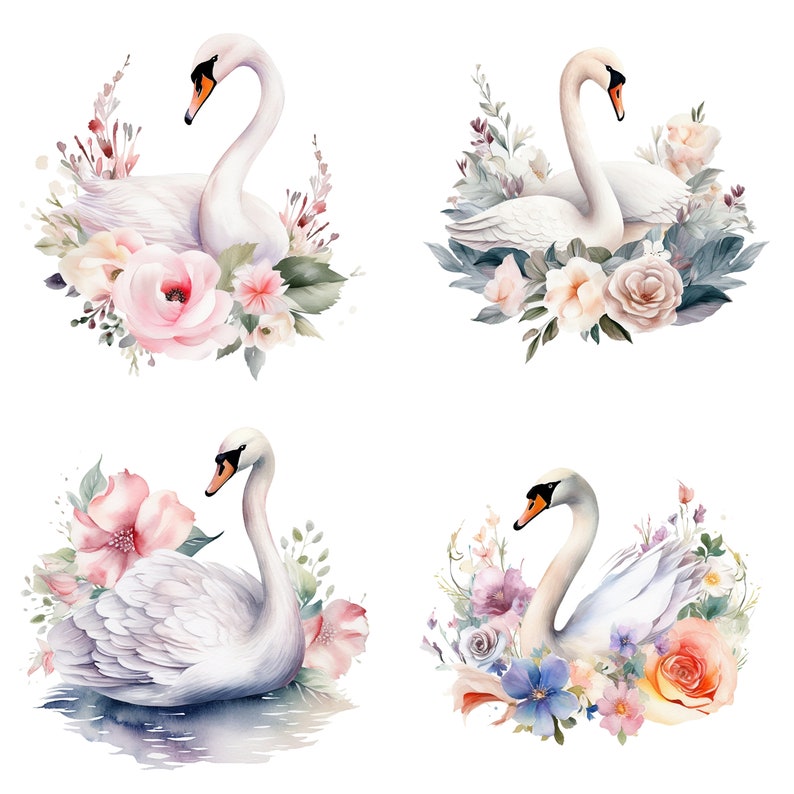 Watercolor Swan Clipart Sweet Baby Swan Clipart Bird - Etsy