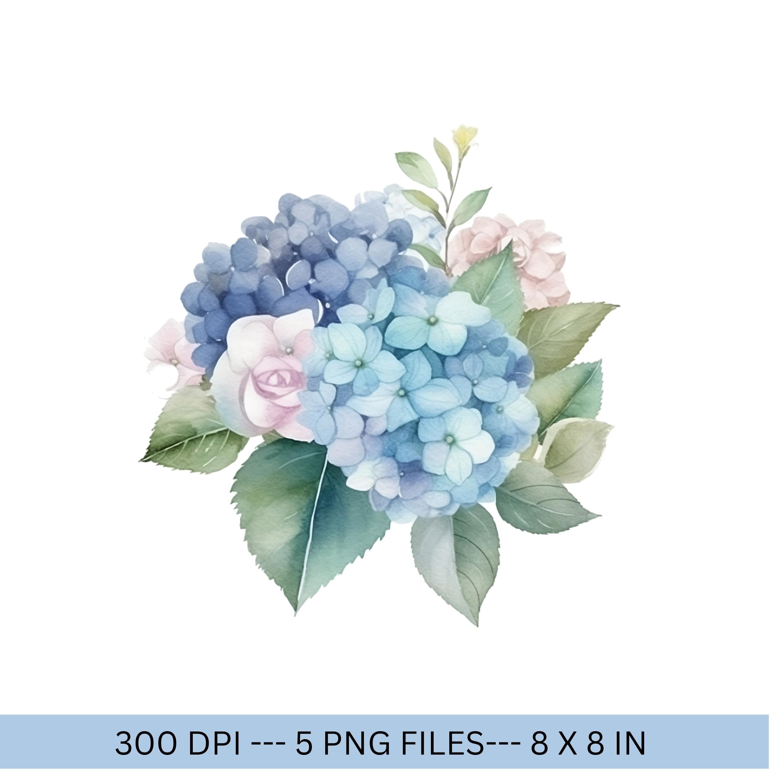 Watercolor Blue Hydrangea Flower Clipart Roses Bouquets for - Etsy