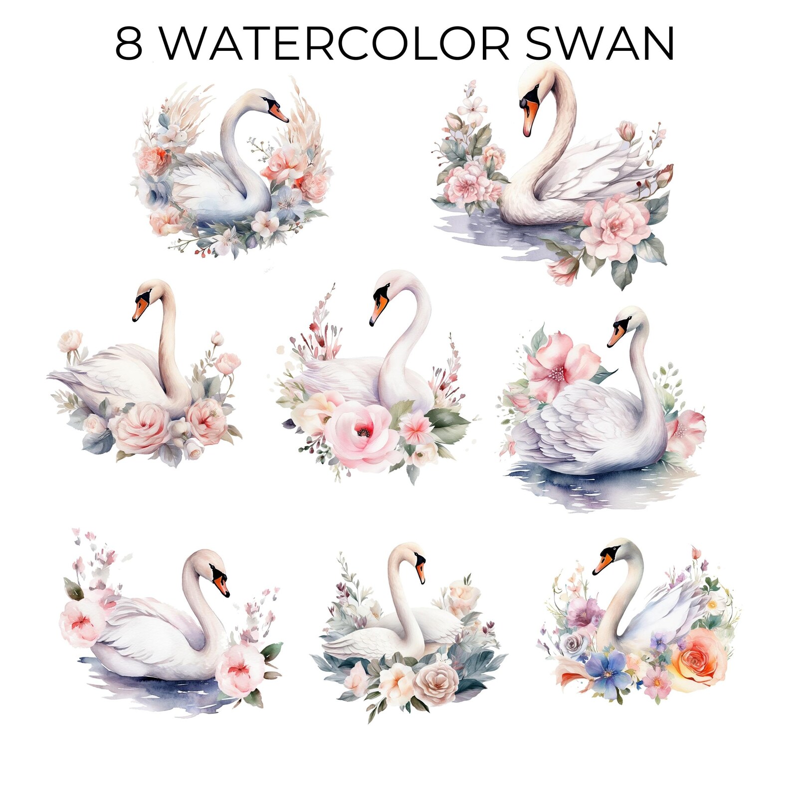 Watercolor Swan Clipart, Sweet Baby Swan Clipart, Bird Clipart ...