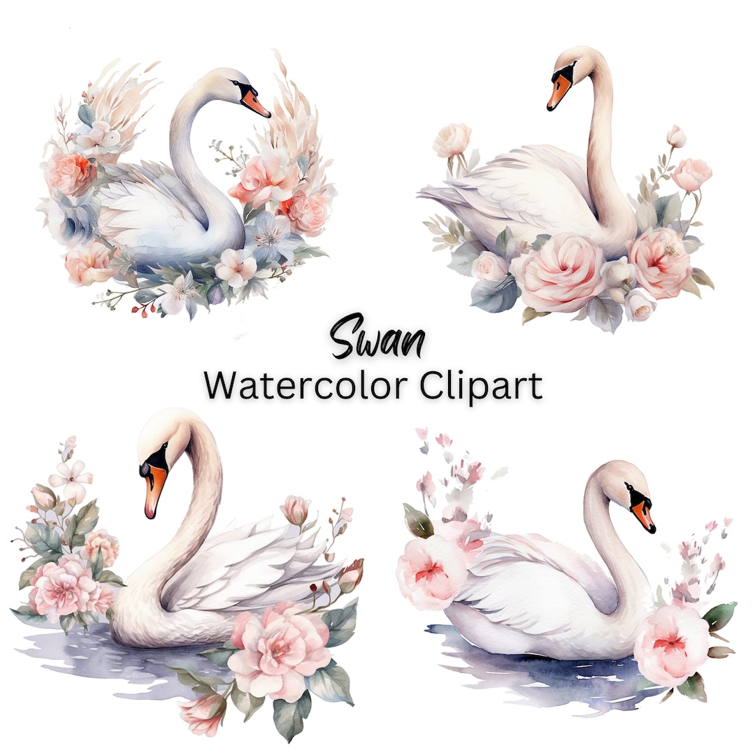 Watercolor Swan Clipart Sweet Baby Swan Clipart Bird - Etsy