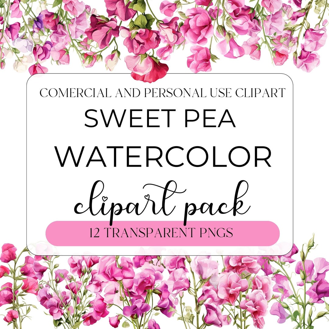 Sweet Pea PNG, Watercolor Sweet Pea, Flower Clipart, Sweet Pea ...