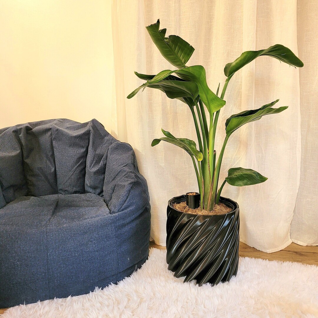 The Superstar 10 Inch Cachepot Planter - Etsy