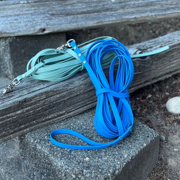 Long Leash - Etsy