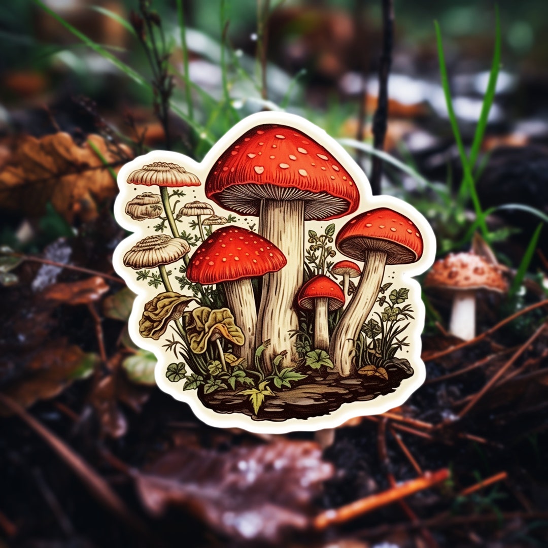 Mushroom Sticker Cottagecore Nature Kiss-cut Vinyl Decals - Etsy