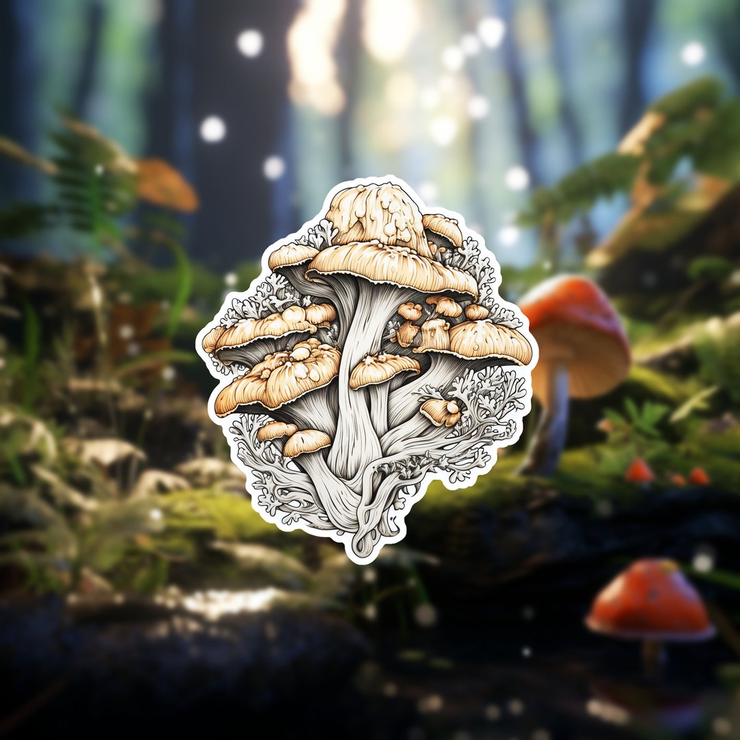 Enchanting Mushroom Forest Vinyl Sticker Nature Lover's - Etsy