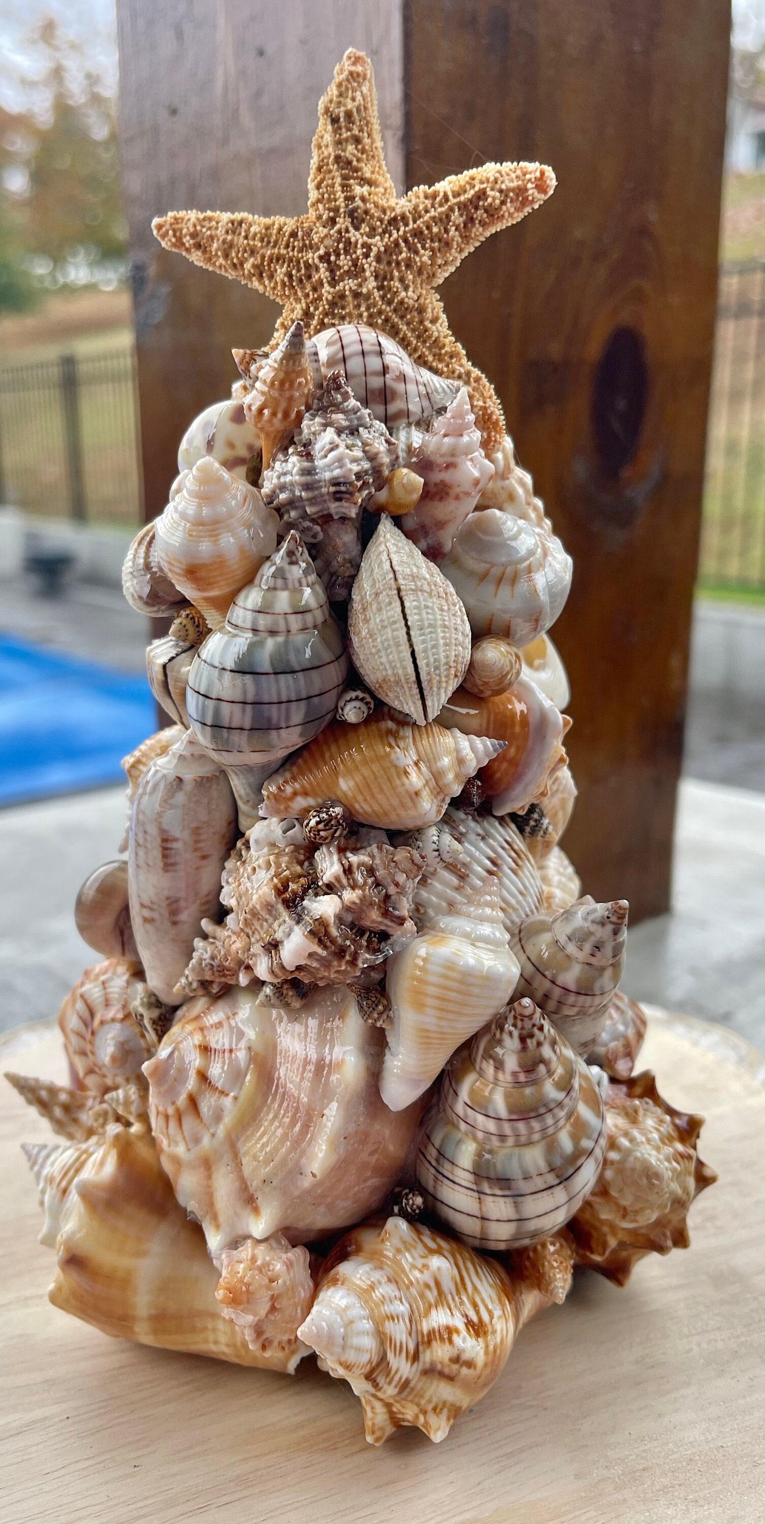 FREE SHIPPING 9 Seashell Tree, Shell Tree, Beach Coastal Christmas Tree ...