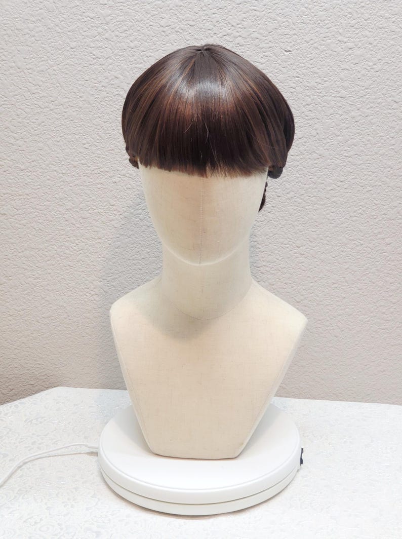 Hellen, Braided Updo Wig, Pre-styled Synthetic Wig - Etsy
