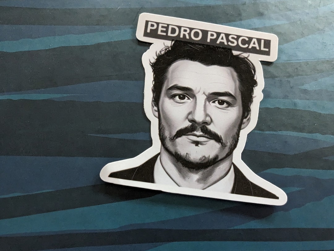 Pedro Pascal Sticker Pack 6 - Etsy