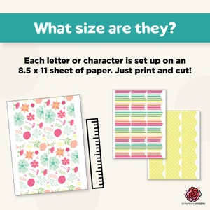 Spring Bulletin Board Border Set, Bright Spring Bulletin Border ...