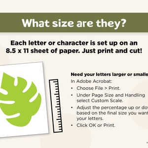 Safari Bulletin Board Kit, Animal Print Bulletin Board Letters ...