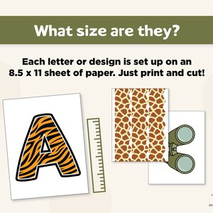 Safari Bulletin Board Kit, Animal Print Bulletin Board Letters ...