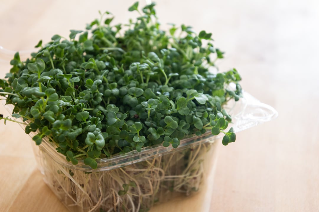Organic Microgreens for Sale - Etsy